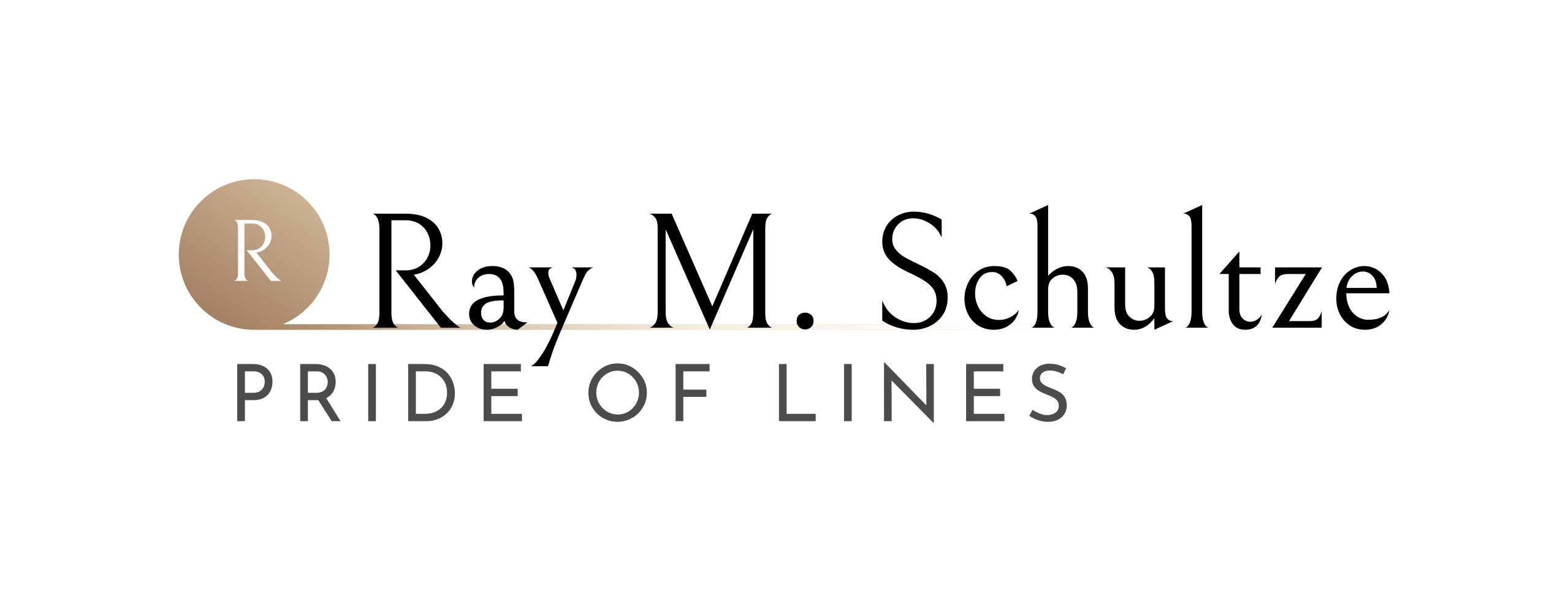 Author Ray M. Schultze – accomplished stylist, storyteller, plotter ...